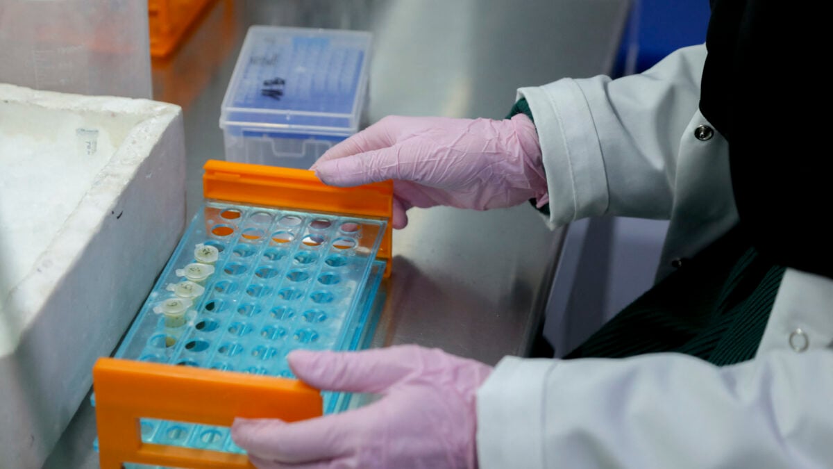 U.S. Immigration Authorities Are Adding Children's DNA to a Criminal ...