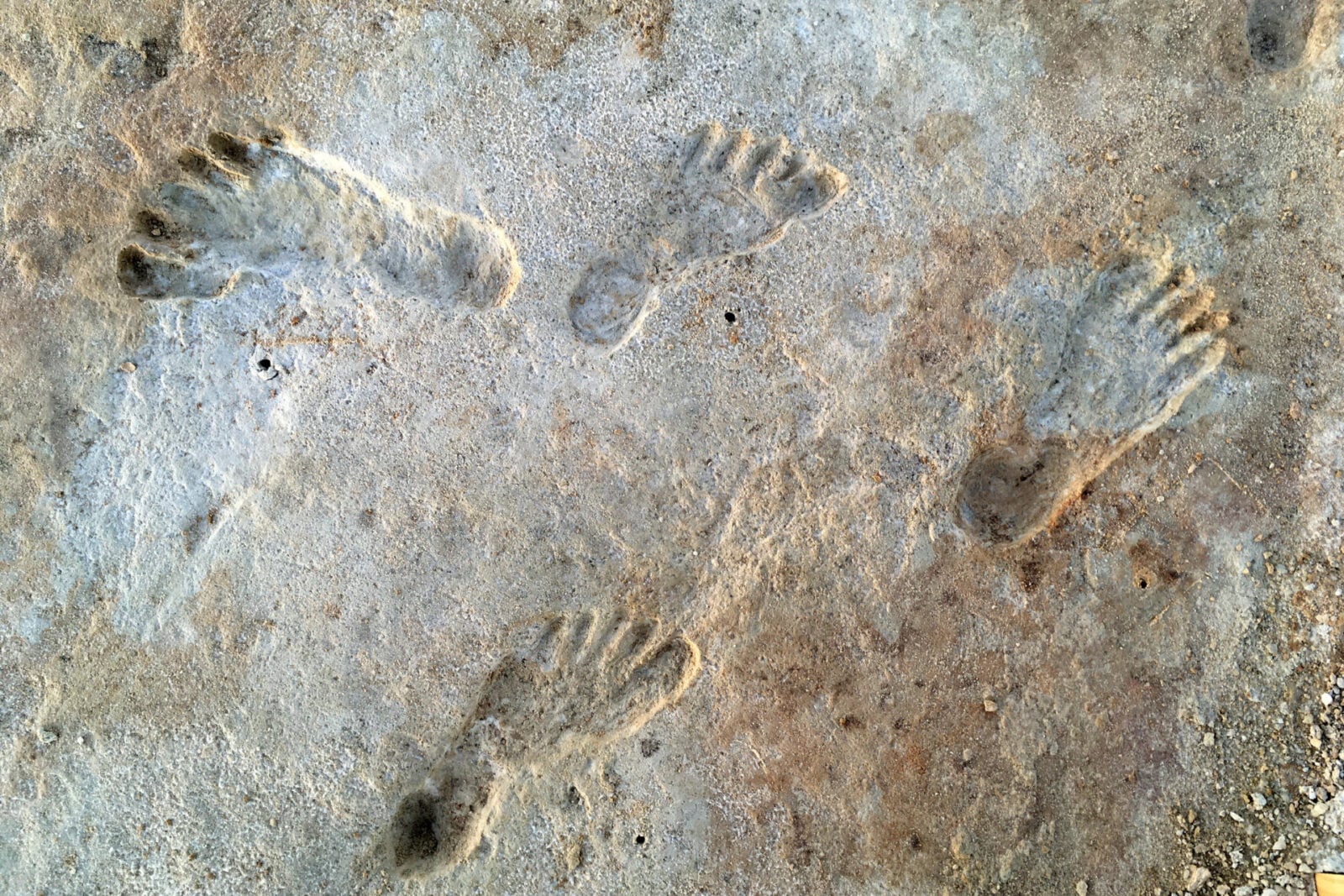 New Study Backs Controversial Claim of 23,000-Year-Old Human Footprints ...