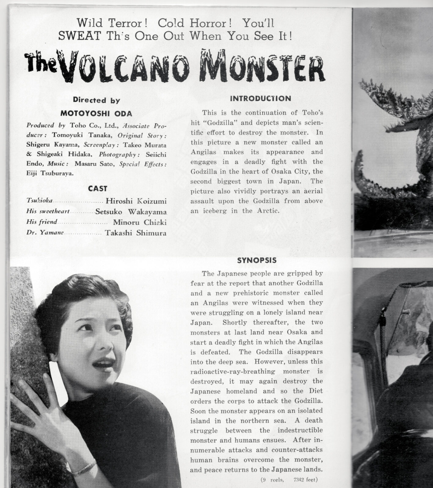 Look Inside the Cinematic Legacy of 'Godzilla' In This Stunning New Book