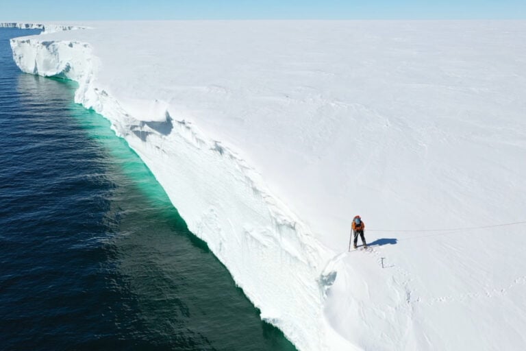 Scientists Found a Cradle of Life Under Antarctica
