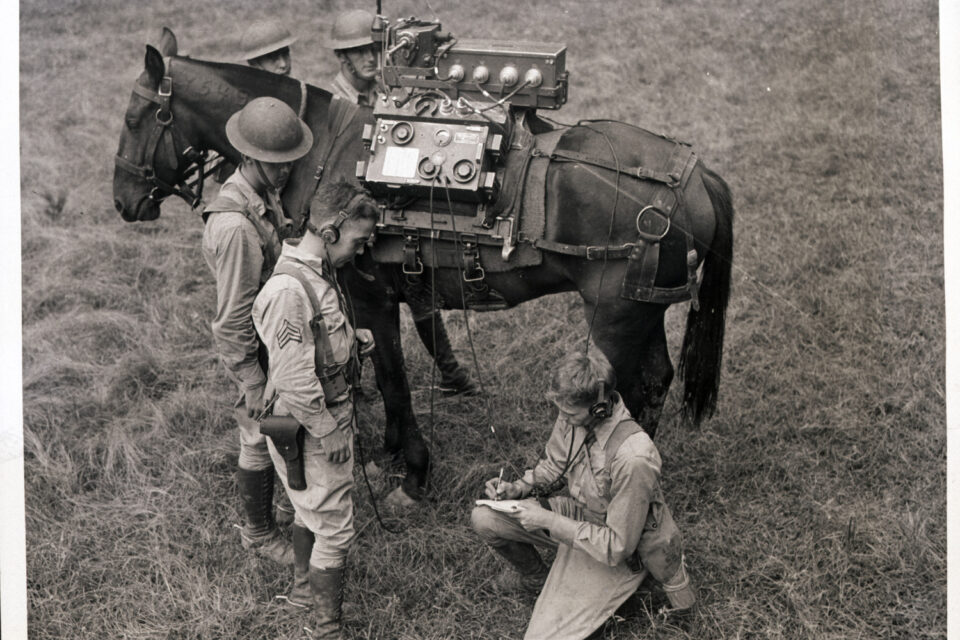 The Army Is Giving Up on War Horses