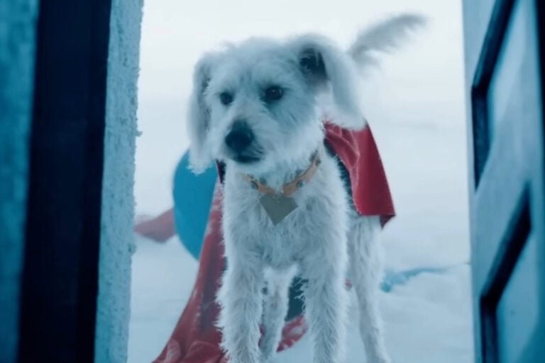 Krypto's 'Superman' Spotlight Is Inspiring People to Adopt Their Own ...
