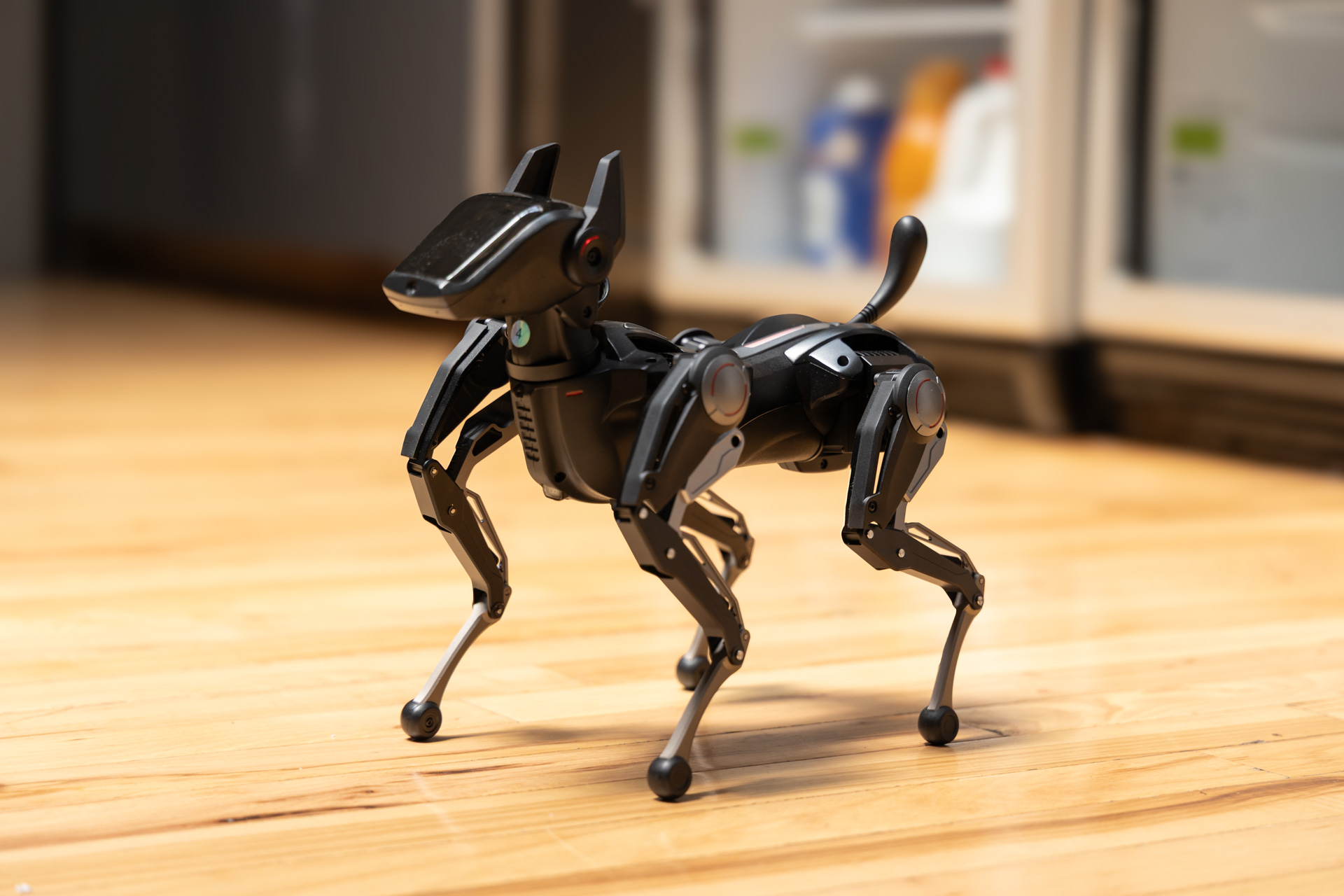 This Robot Dog Is As Good At Walking As I Am At Being A Robot Dog This Robot Dog Is As Good At Walking As I Am At Being A Robot Dog