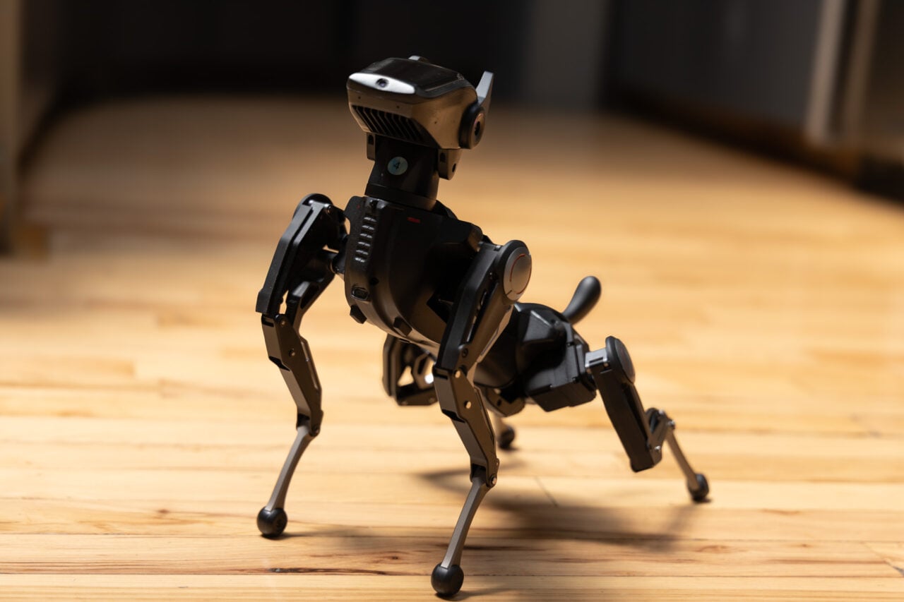 This Robot Dog Is as Good at Walking as I Am at Being a Robot Dog