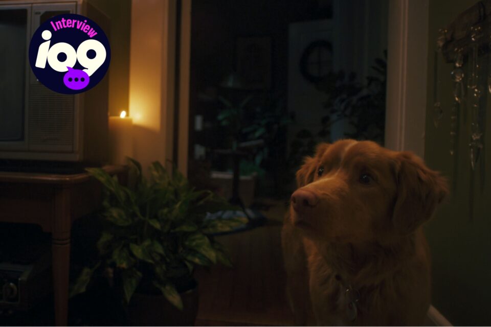 The New 'Good Boy' Trailer Puts the Dog in Dog Horror