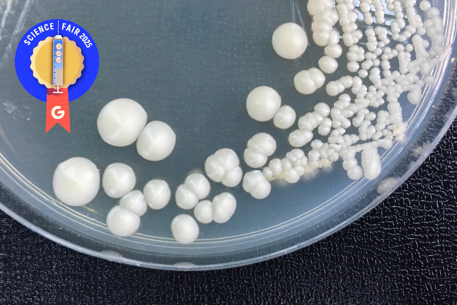 The Most Dangerous Germs Without Effective Vaccines