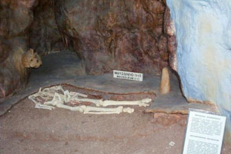 Prehistoric Skull Found Fused to Cave Wall May Have Belonged to ...