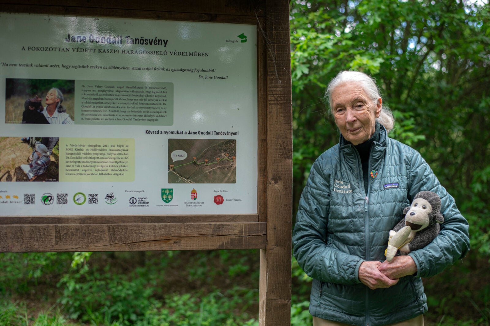 Jane Goodall, Who Forever Changed How We See Animals, Dies at 91