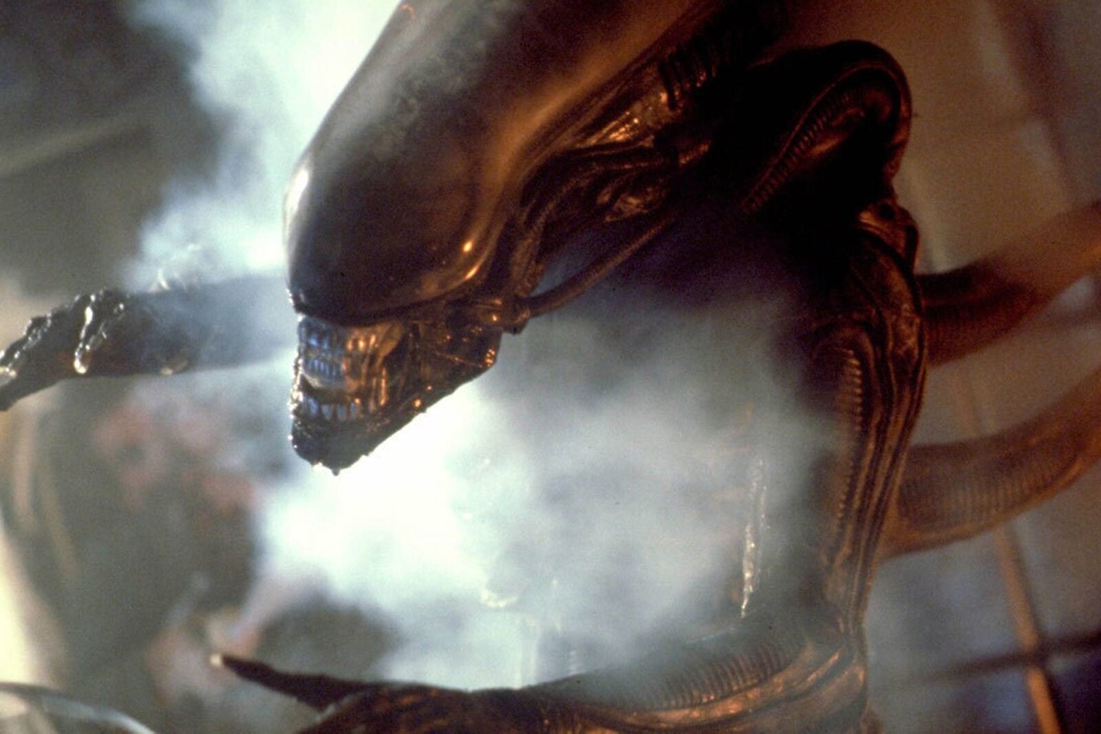 The 'Alien: Earth' Sound Designer Explains That Xenomorph Baby Talk