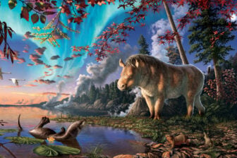 Meet the Weirdly Wonderful 'Frosty' Rhino That Once Roamed the Canadian ...