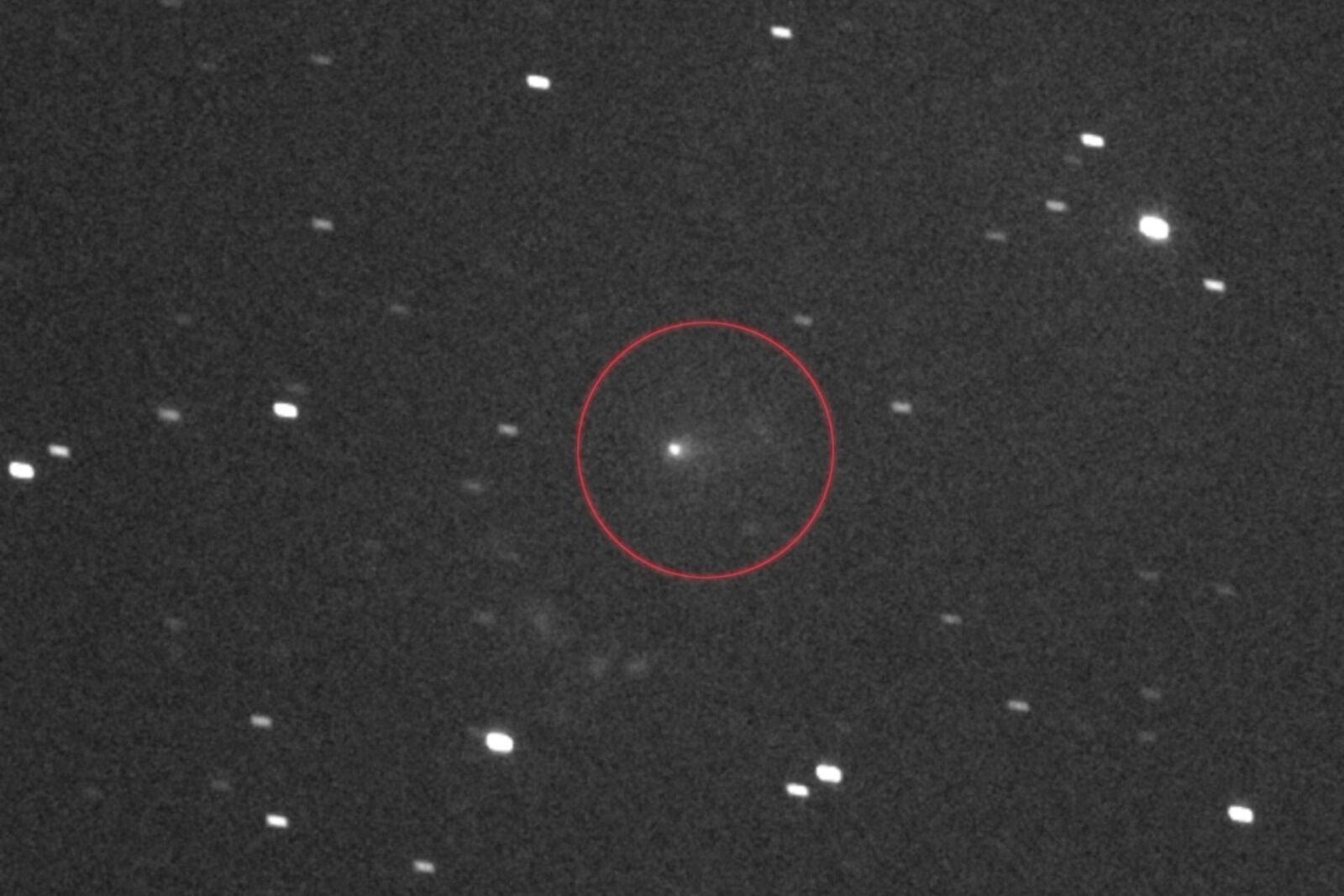 NASA Threw Virtually Everything It's Got at This Interstellar Visitor ...