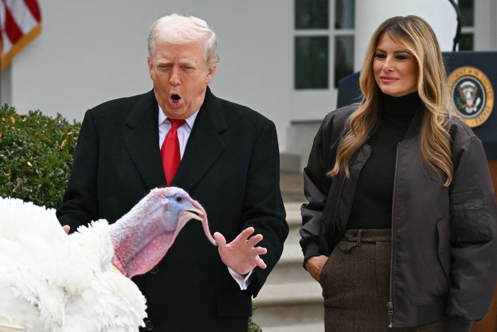 Trump Questions Whether Turkeys He Pardoned Are Really MAHA Because ...
