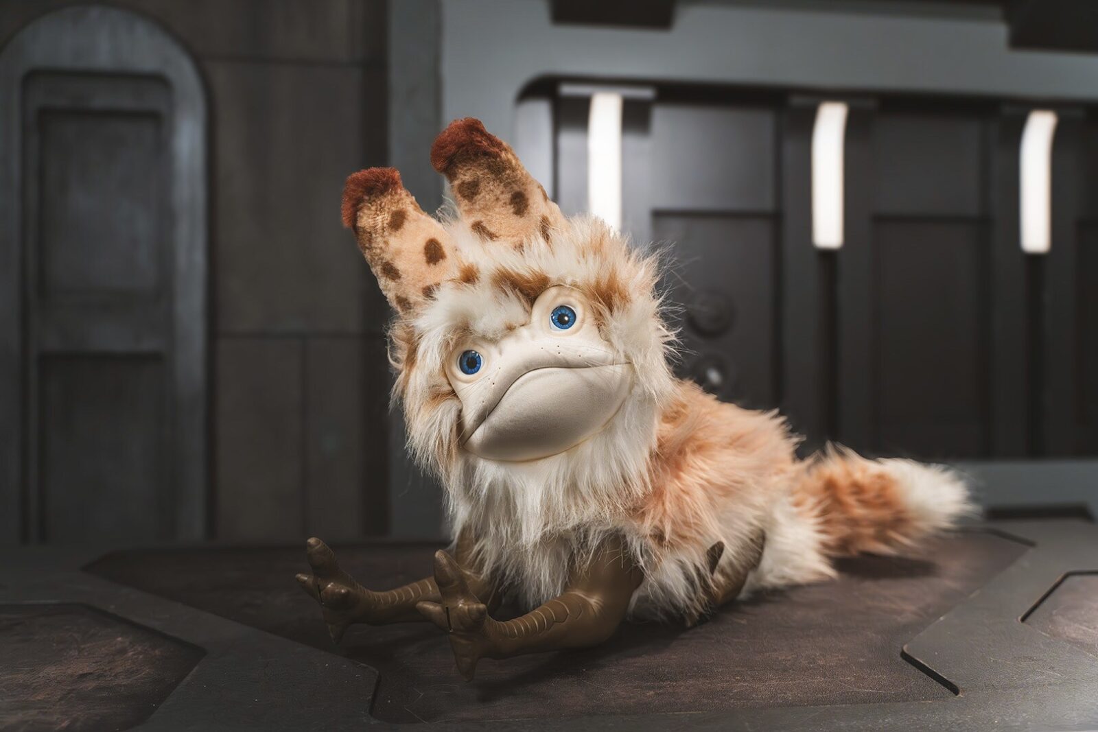 You'll Soon Be Able to Own Your Very Own 'Star Wars' Loth Cat