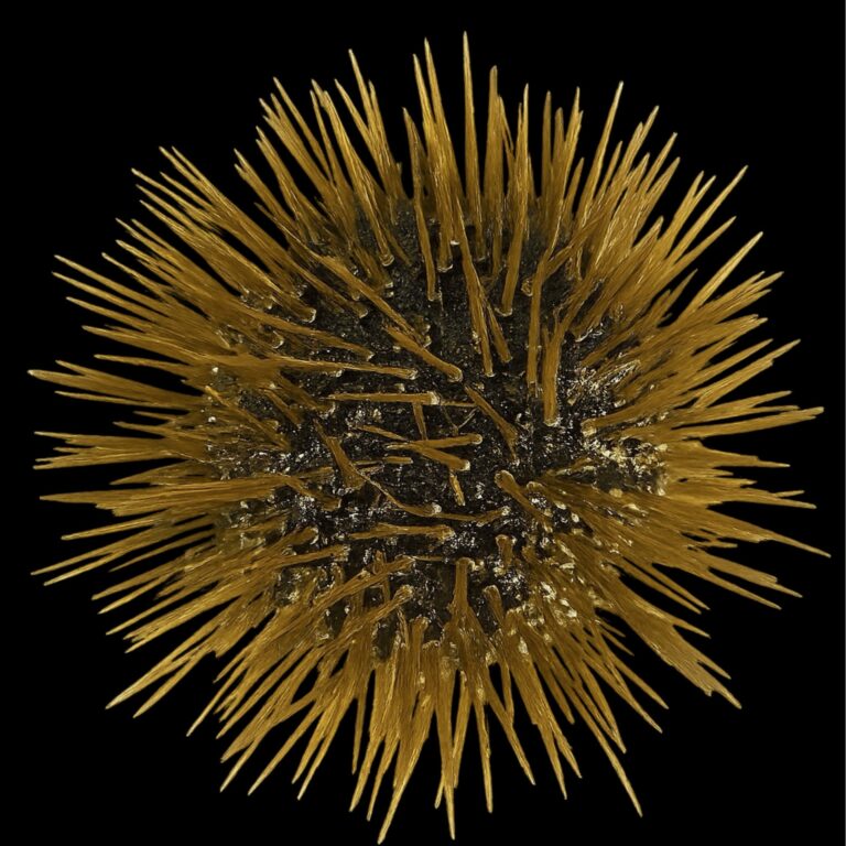 Sea Urchins Are Basically Brains Covered in Spikes, Study Finds