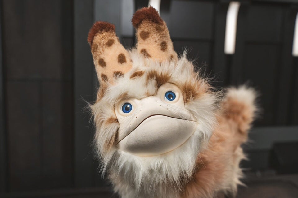 You'll Soon Be Able to Own Your Very Own 'Star Wars' Loth Cat