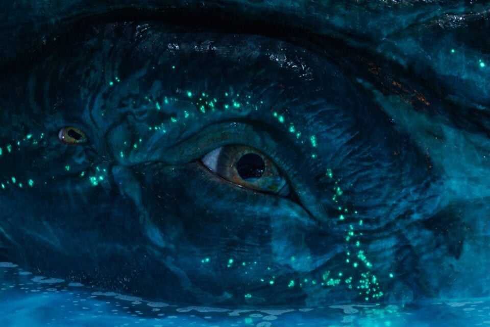 All the Burning Questions We Have After 'Avatar: Fire and Ash'