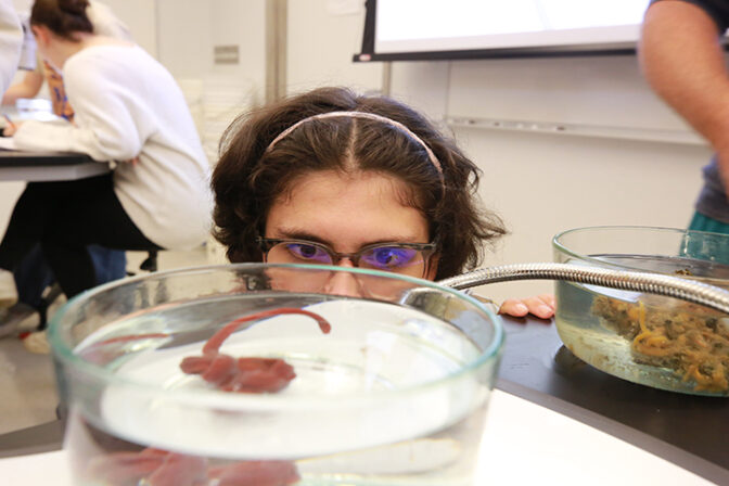 This Worm Was Chilling in a Lab for Years. Turns Out It's a Record-Breaker