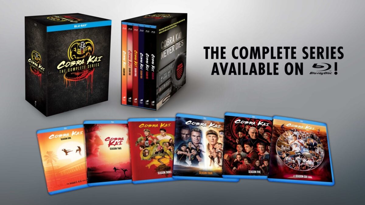 'Cobra Kai' Is Getting the Dream Physical Release It Deserves