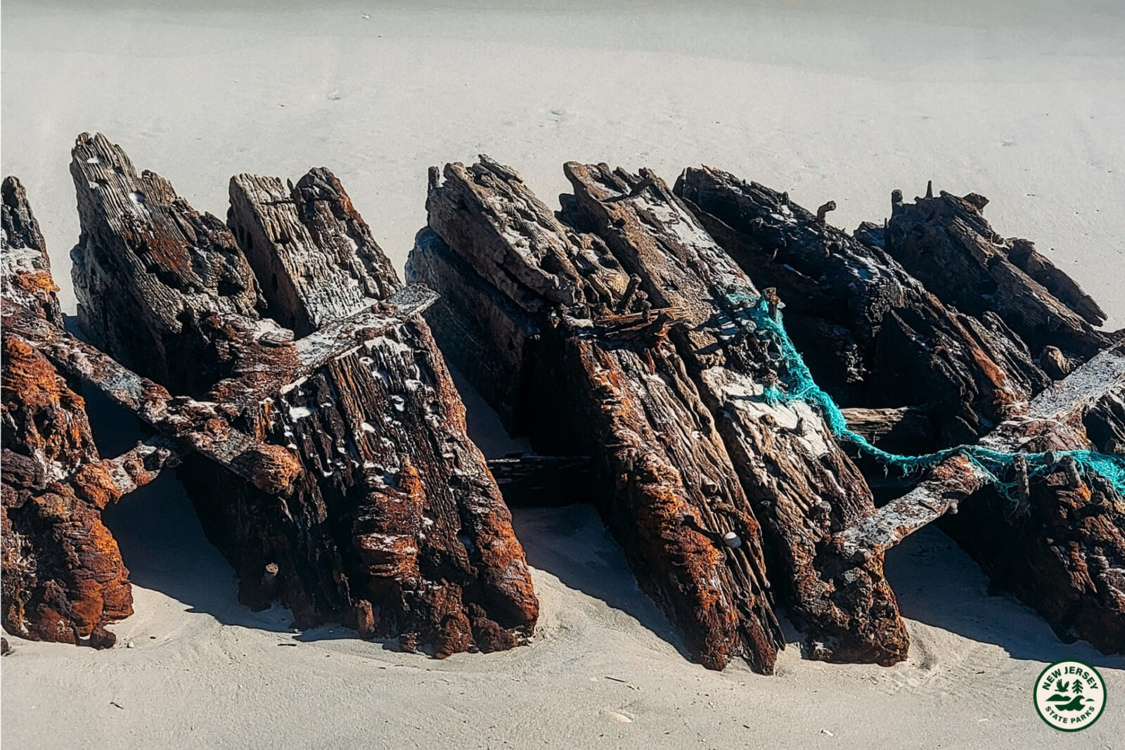 143-Year-Old Shipwreck Emerges on a New Jersey Beach
