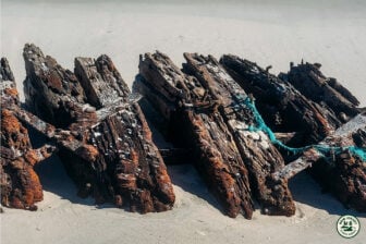 143-Year-Old Shipwreck Emerges on a New Jersey Beach