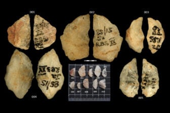Poison-Laced Arrows Date Back Tens of Thousands of Years Earlier Than ...