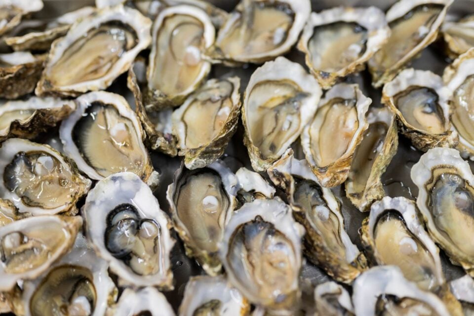 Raw Oysters Behind Salmonella Outbreak Sweeping Across the US, CDC Warns