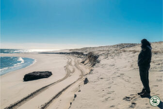 143-Year-Old Shipwreck Emerges on a New Jersey Beach