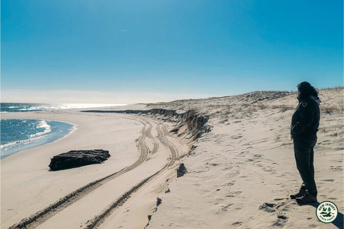 143-Year-Old Shipwreck Emerges on a New Jersey Beach