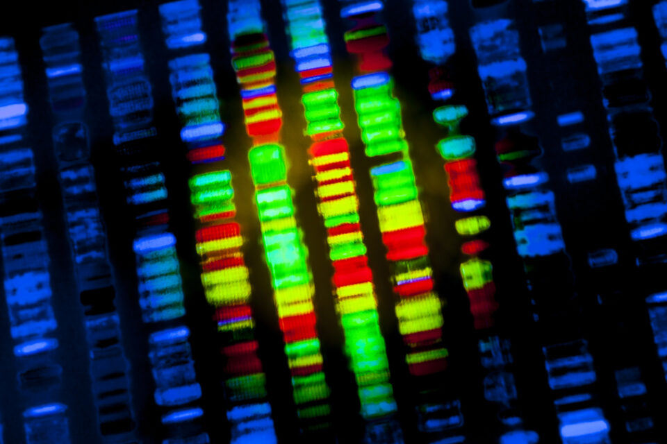 DeepMind's New AI Can Read a Million DNA Letters at Once—and Actually ...