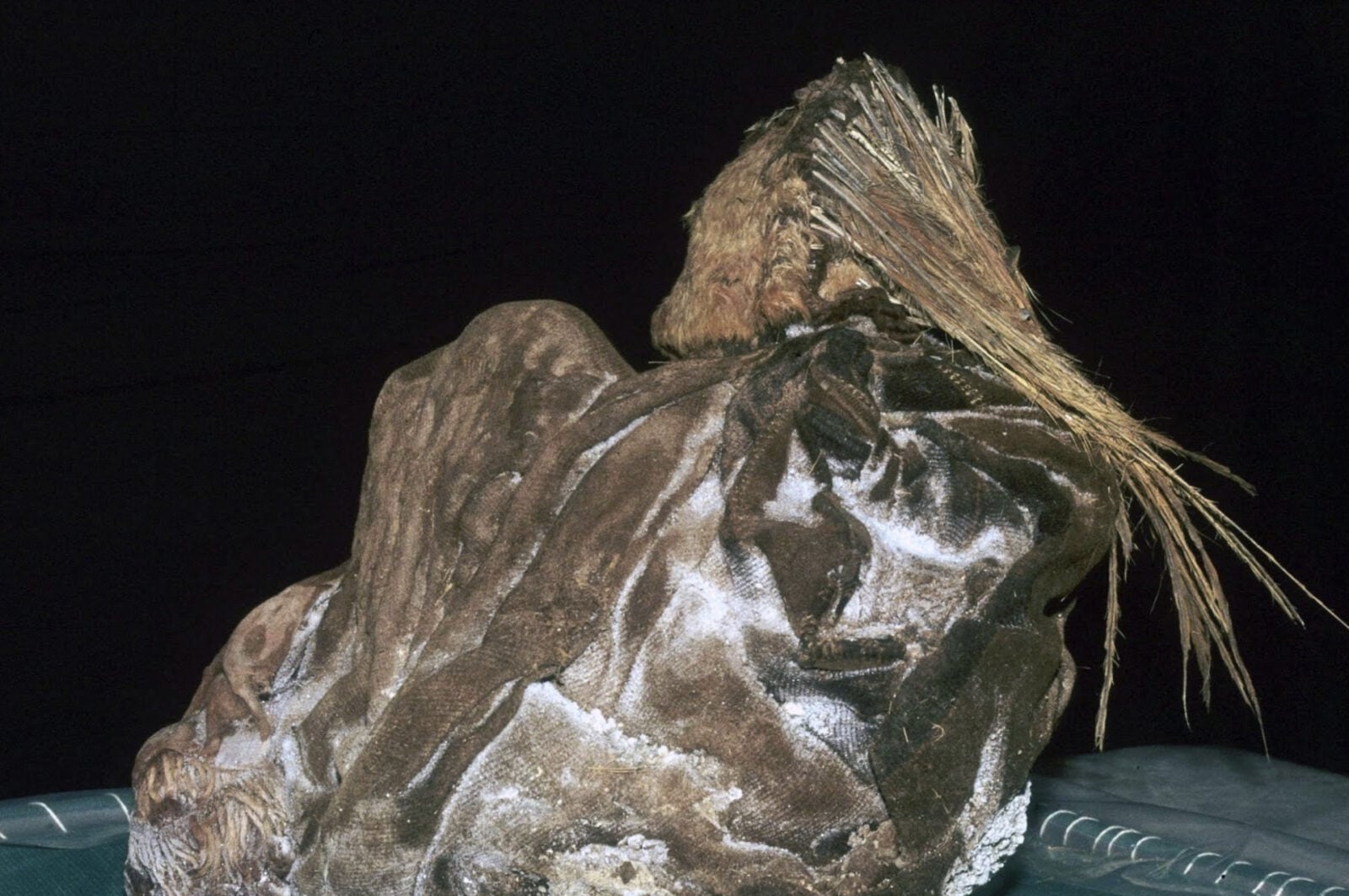 CT Scans Reveal Gruesome Details of Inca Child Sacrifices