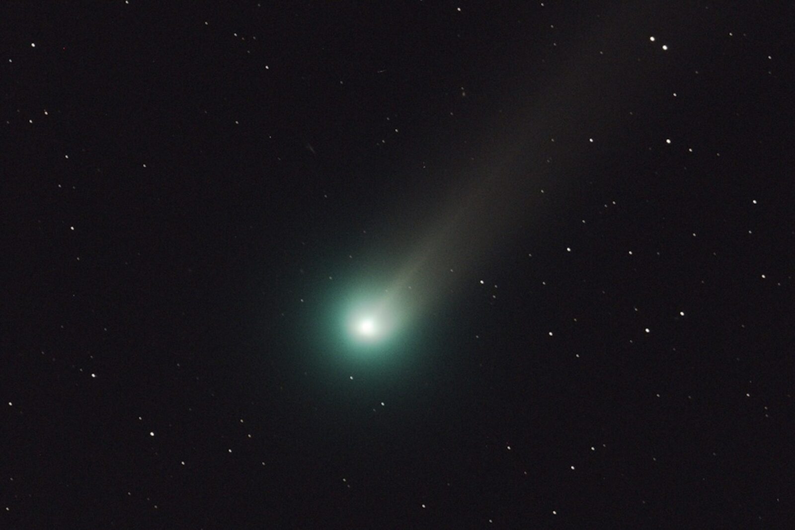Newly Discovered Comet Could Appear During the Day—If It's Not ...