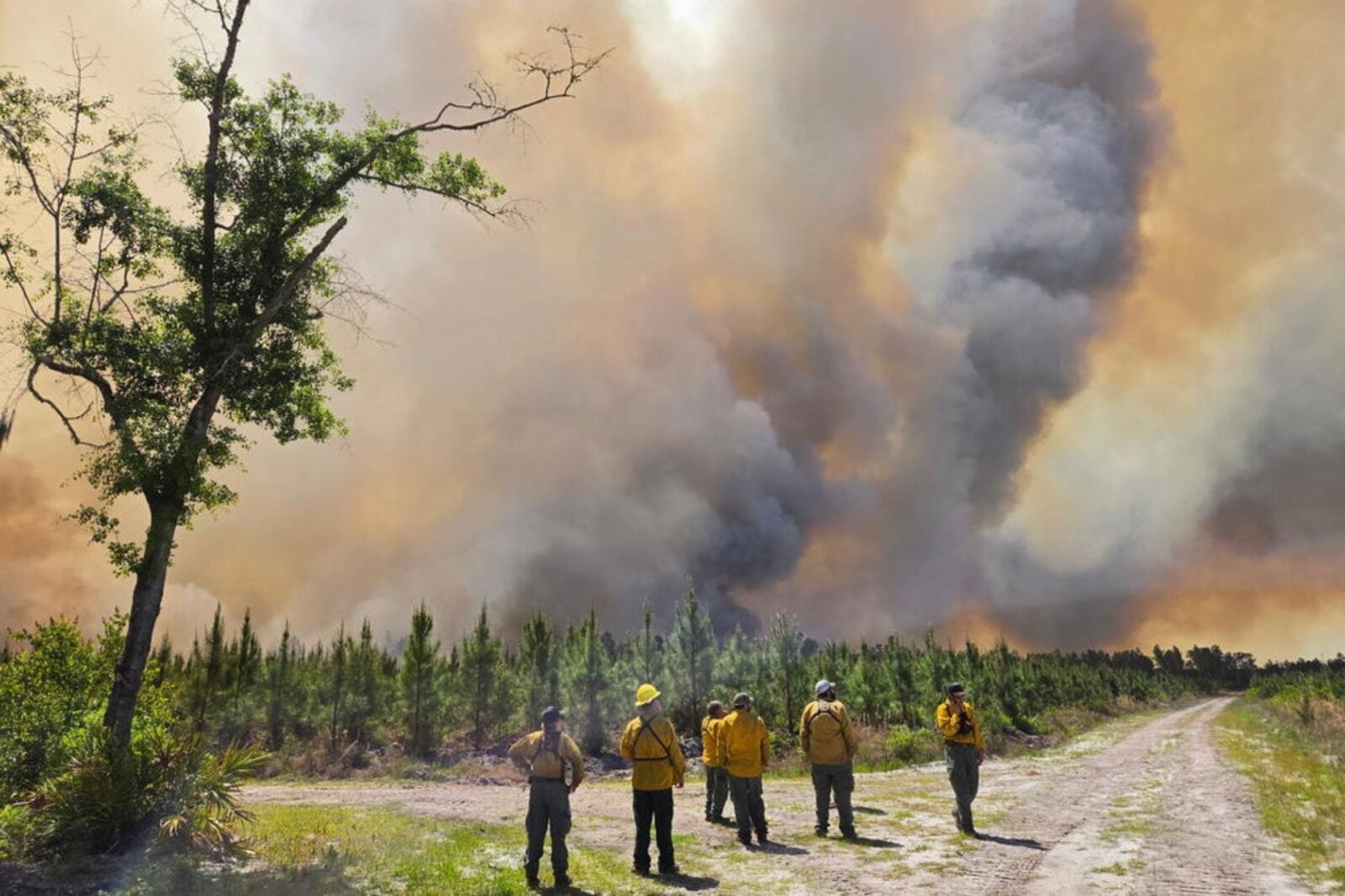 Black Gunk Found in Man's Lungs Exposes an Even Darker Side of Wildfire ...