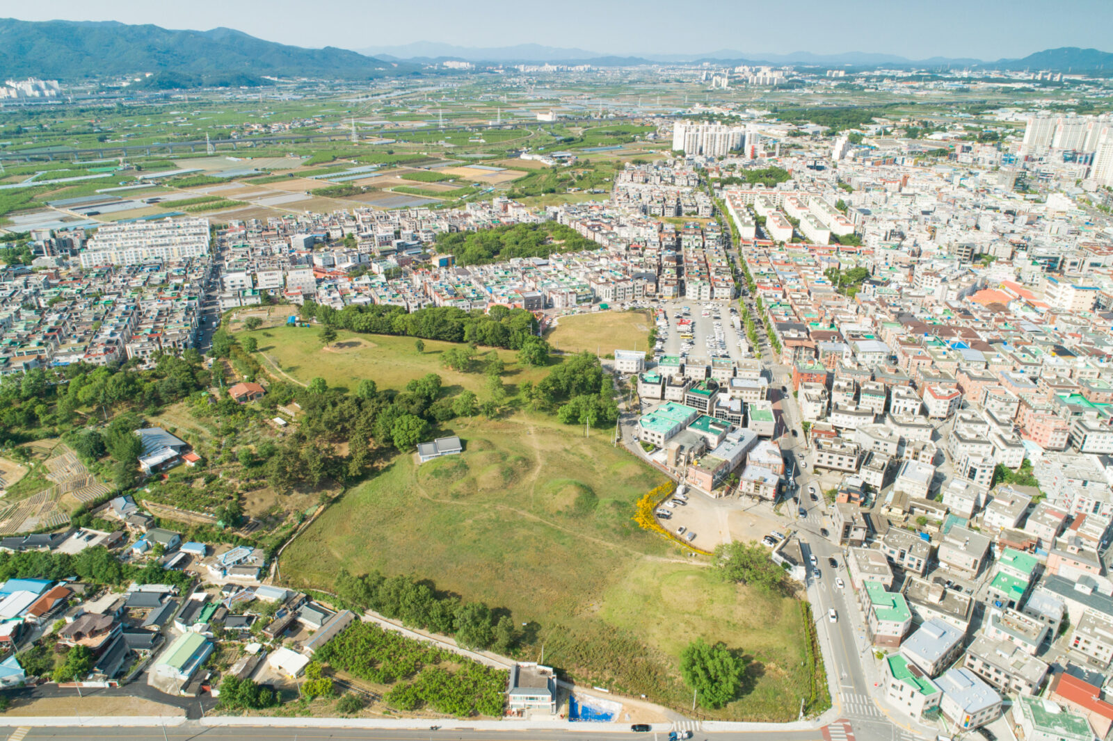 DNA From 1,500-Year-Old Korean Mass Grave Exposes a Brutal Ancient Ritual