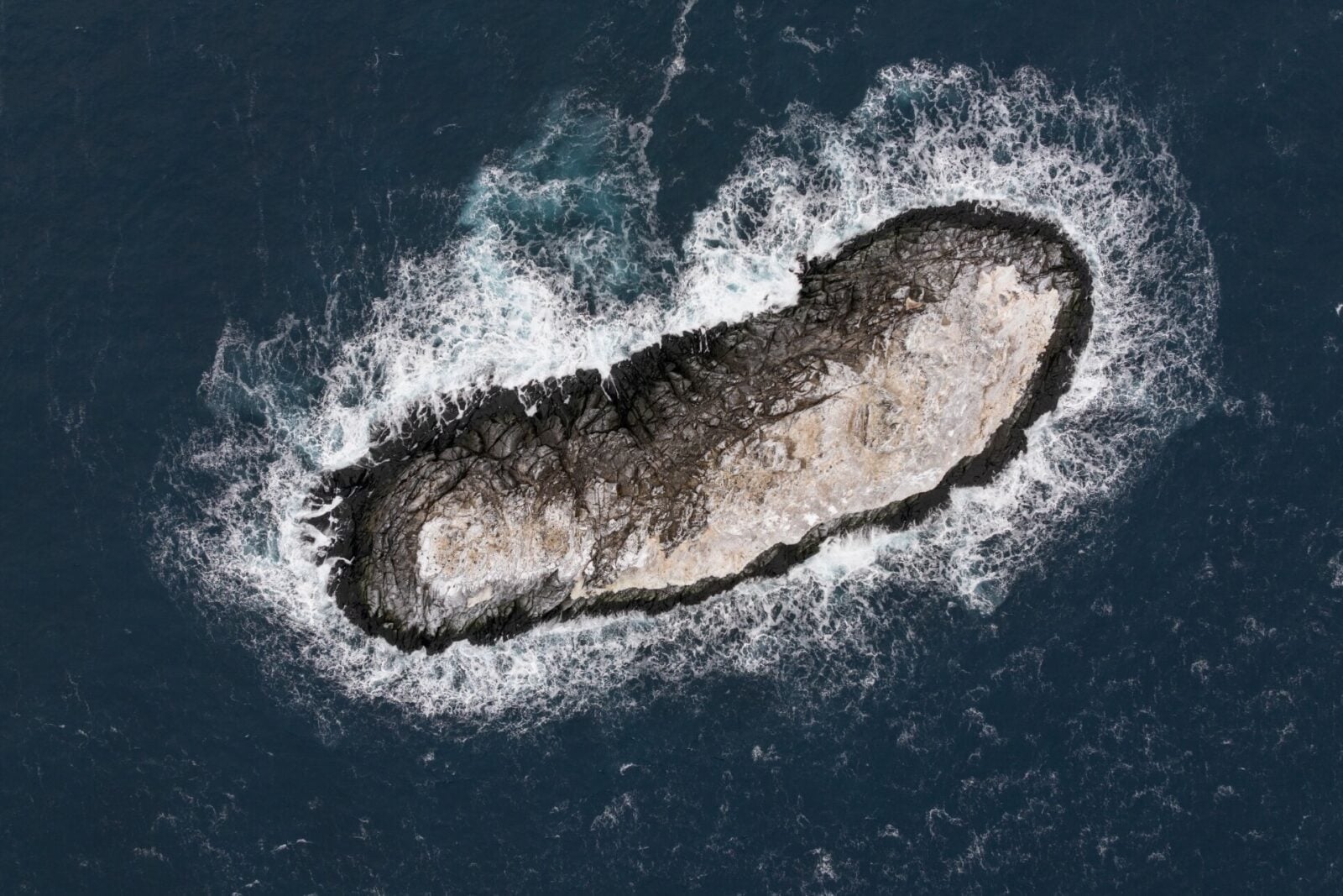 Antarctic Expedition to 'Danger Zone' Accidentally Discovers Previously ...