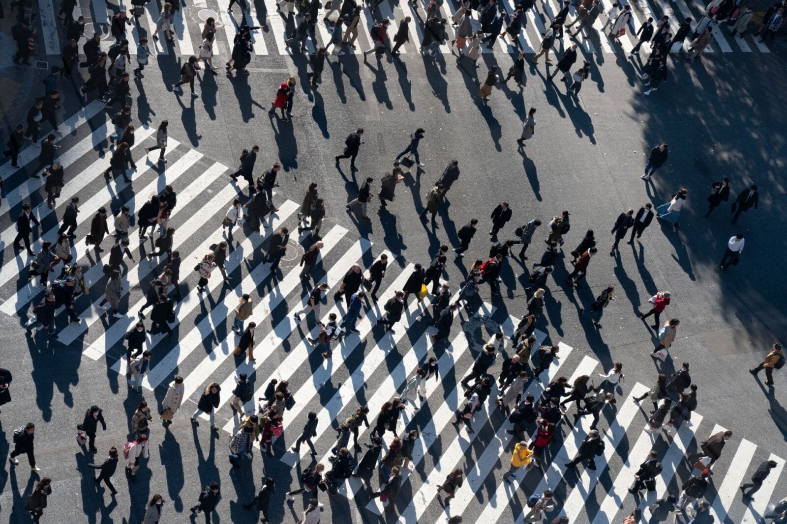 The Global Population Could Crash by 2064, New Model Suggests