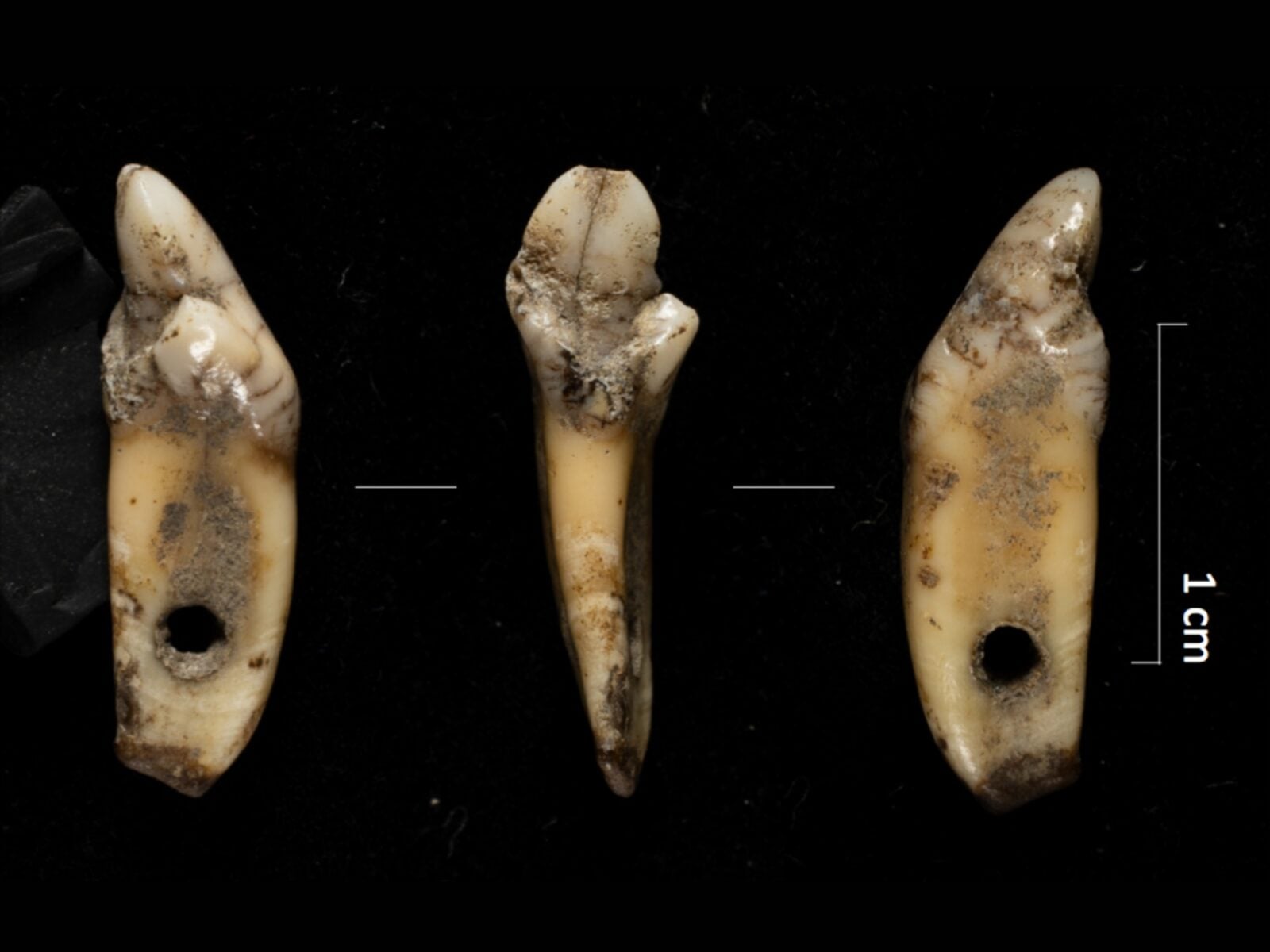 This High-Altitude Cave Drew Humans for Thousands of Years—and These ...