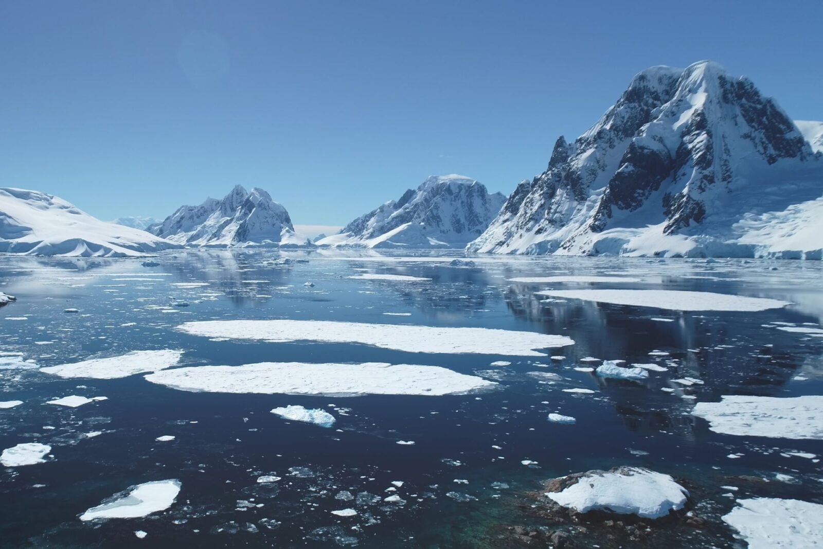 ‘This Is Absolutely Crazy’: Antarctic Temperatures Hit a Record High ...