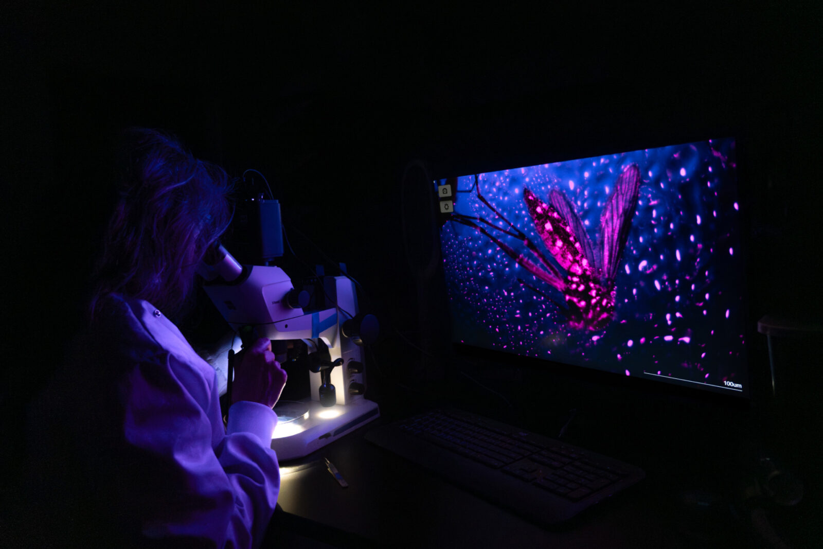 These Award-Winning Science Photos Capture the Beauty—and Weirdness—of ...