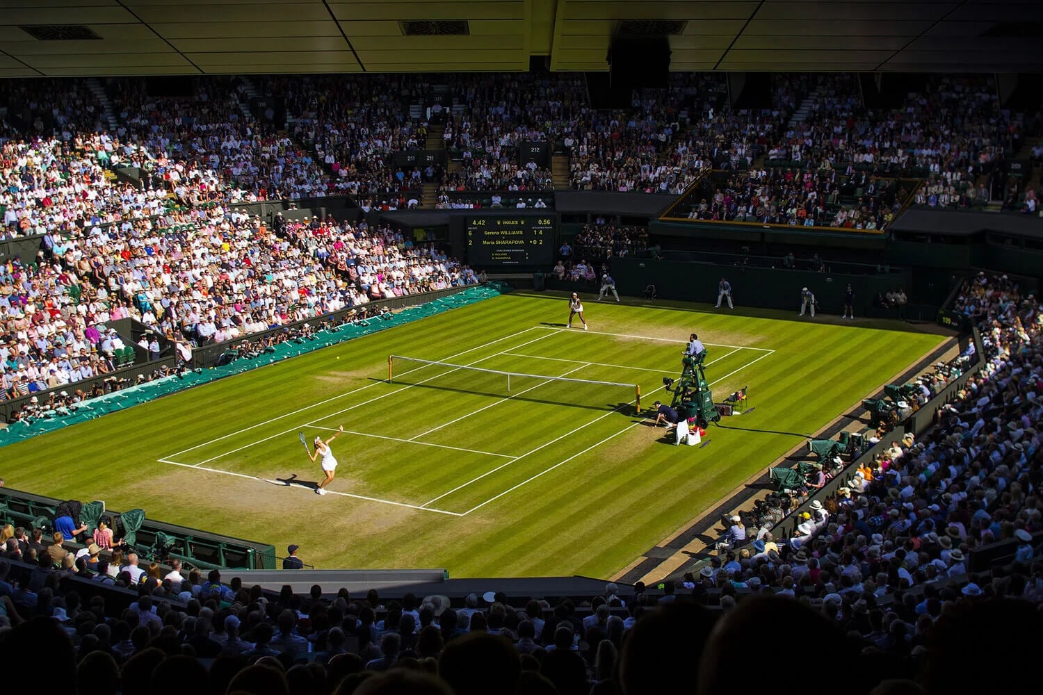 How and Where to Watch Wimbledon 2026 Live for Free?